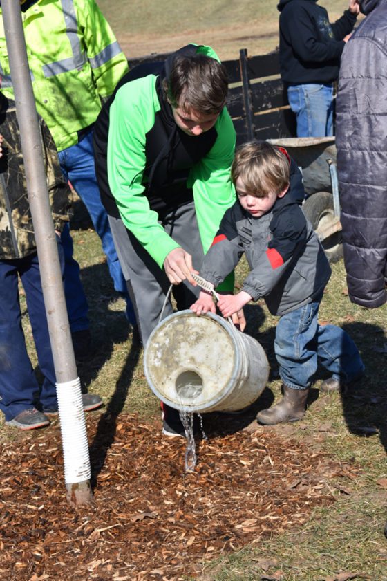 Scouts plant trees in Arbor Day tradition | News, Sports, Jobs - Daily ...